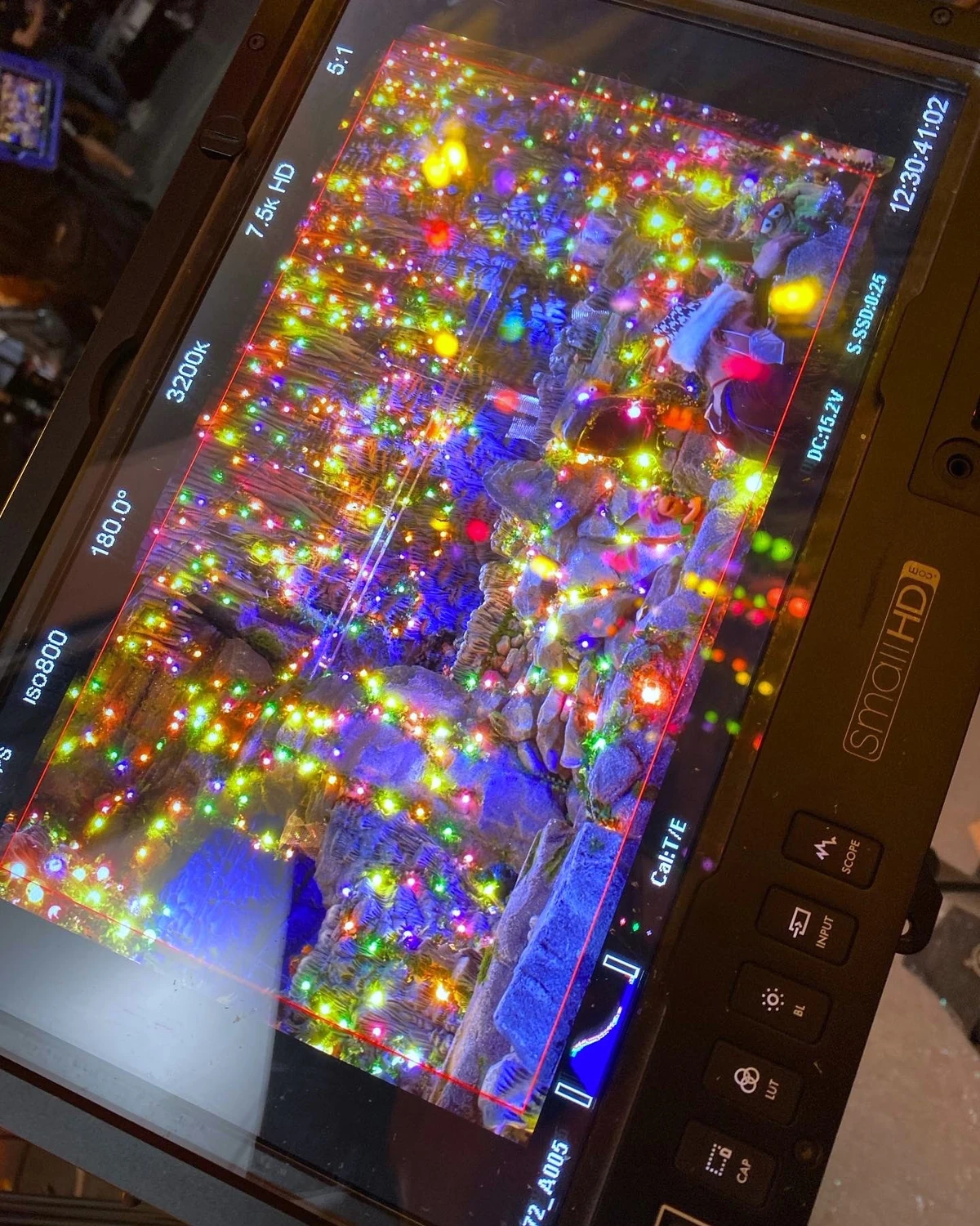 Episode 114: Night of the Lights | Muppet Wiki | Fandom