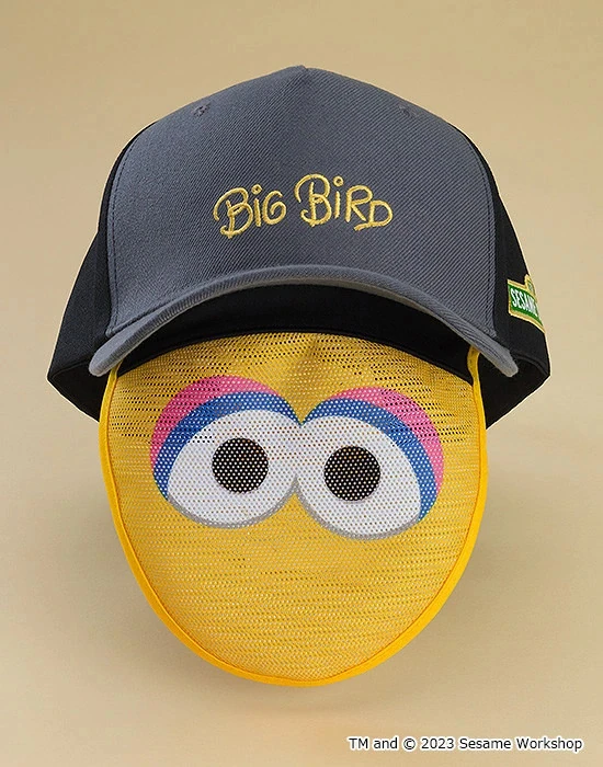 Sesame Street mask hats | Muppet Wiki | Fandom
