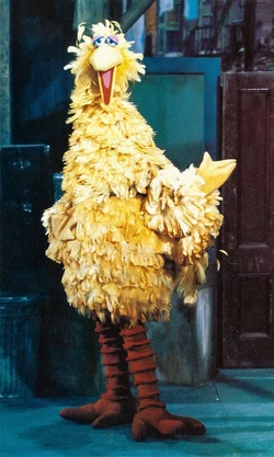 Big Bird Through the Years | Muppet Wiki | Fandom