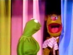 The Tonight Show hosted by Kermit the Frog | Muppet Wiki | Fandom