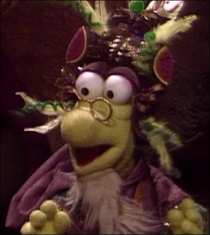 The Wizard (Fraggle Rock) | Muppet Wiki | Fandom