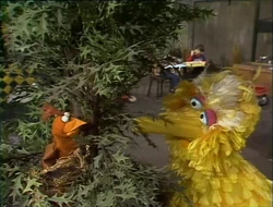 Episode 1001 | Muppet Wiki | Fandom