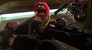 Woman! Woman! Woman! | Muppet Wiki | Fandom