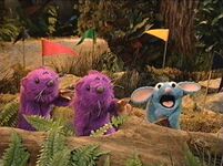 Episode 208: The Ojolympics | Muppet Wiki | Fandom