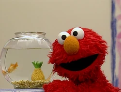Elmo's World: Food | Muppet Wiki | Fandom