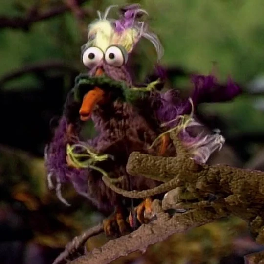 Flutebird | Muppet Wiki | Fandom