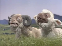 Sheep (Mother Goose Stories) | Muppet Wiki | Fandom
