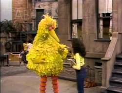 Episode 0853 | Muppet Wiki | Fandom