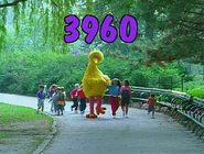 Episode 3960 | Muppet Wiki | Fandom