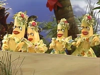 Carmen Miranda | Muppet Wiki | Fandom