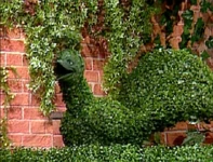 Plants | Muppet Wiki | Fandom