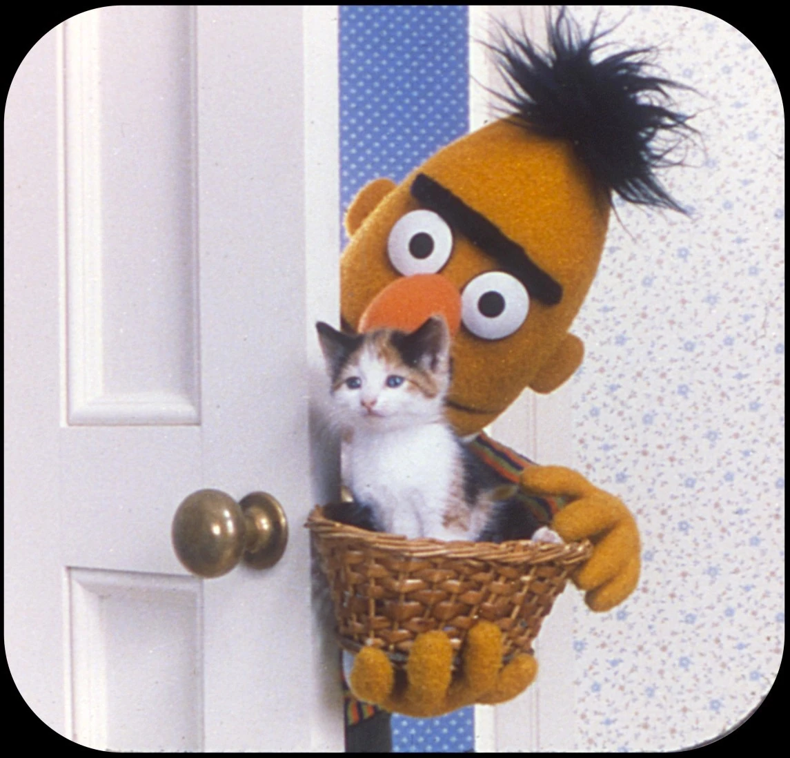 Baby Animals | Muppet Wiki | Fandom