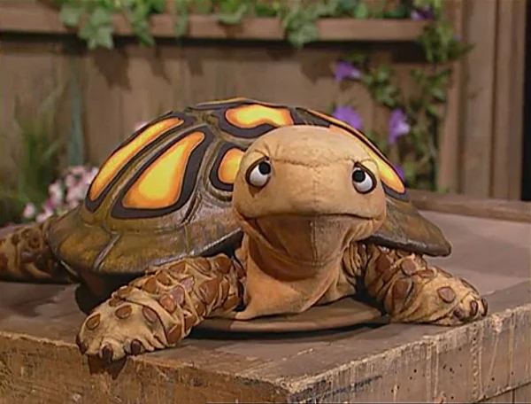 Seymour (turtle) | Muppet Wiki | Fandom
