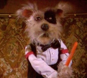 Mac | Muppet Wiki | Fandom