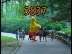 Episode 3837 | Muppet Wiki | Fandom