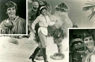 Episode 313: Helen Reddy | Muppet Wiki | Fandom