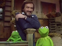 Kermit scrunch | Muppet Wiki | Fandom