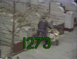 Episode 1273 | Muppet Wiki | Fandom