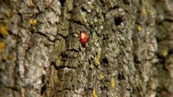 Episode 4242 | Muppet Wiki | Fandom