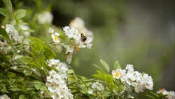 Episode 4189 | Muppet Wiki | Fandom