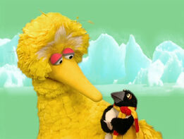 Big Bird's family | Muppet Wiki | Fandom