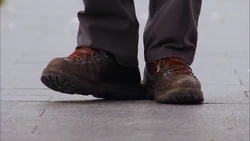 Episode 4283 | Muppet Wiki | Fandom