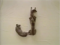 J | Muppet Wiki | Fandom