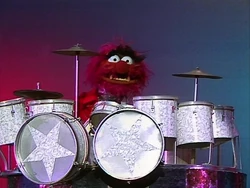 Animal's drum skins | Muppet Wiki | Fandom