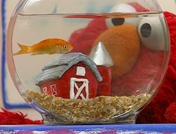 Elmo's World: Farms | Muppet Wiki | Fandom