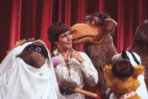 Episode 313: Helen Reddy | Muppet Wiki | Fandom