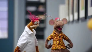 Pepe's outfits | Muppet Wiki | Fandom