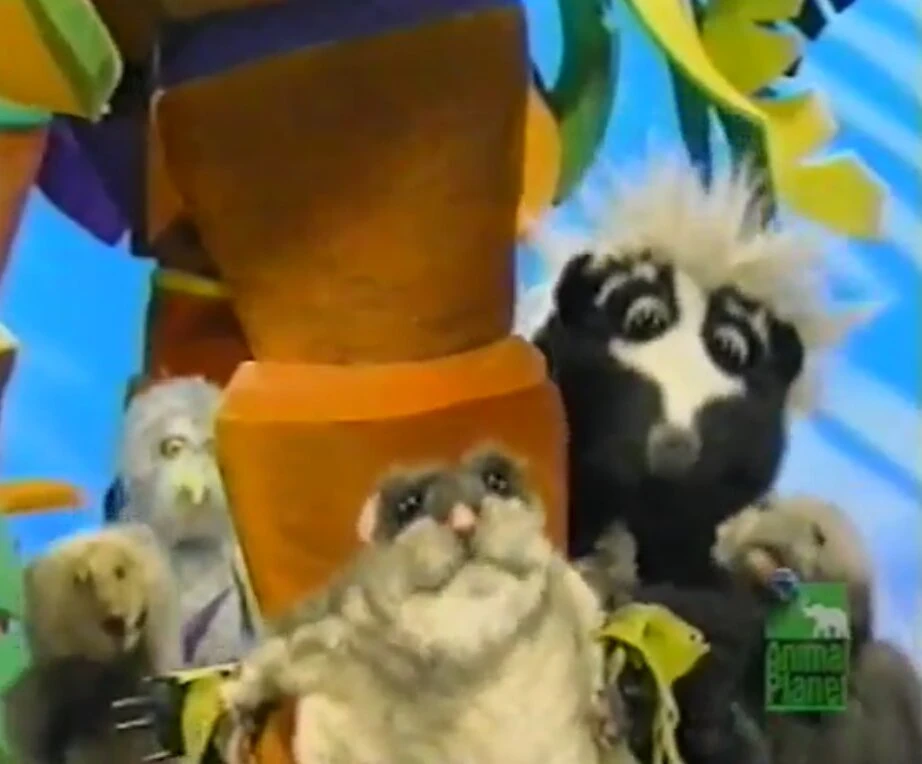 Two's a Crowd | Muppet Wiki | Fandom