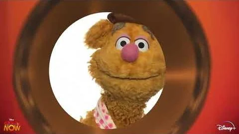 Muppets Now Twitter Videos | Muppet Wiki | Fandom