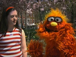 Episode 4144 | Muppet Wiki | Fandom