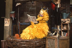 Big Bird's nest | Muppet Wiki | Fandom