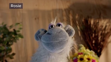 Sheep | Muppet Wiki | Fandom