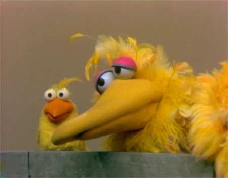 Big Bird Sketches: Miscellaneous | Muppet Wiki | Fandom