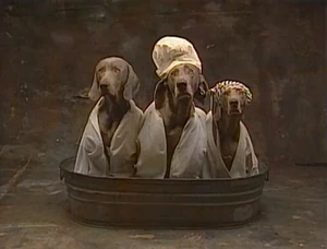 Rub-a-Dub-Dub | Muppet Wiki | Fandom