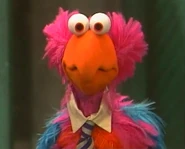 H. Ross Parrot | Muppet Wiki | Fandom