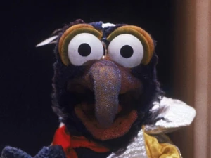 Sandbox:Misplaced or destroyed puppets | Muppet Wiki | Fandom