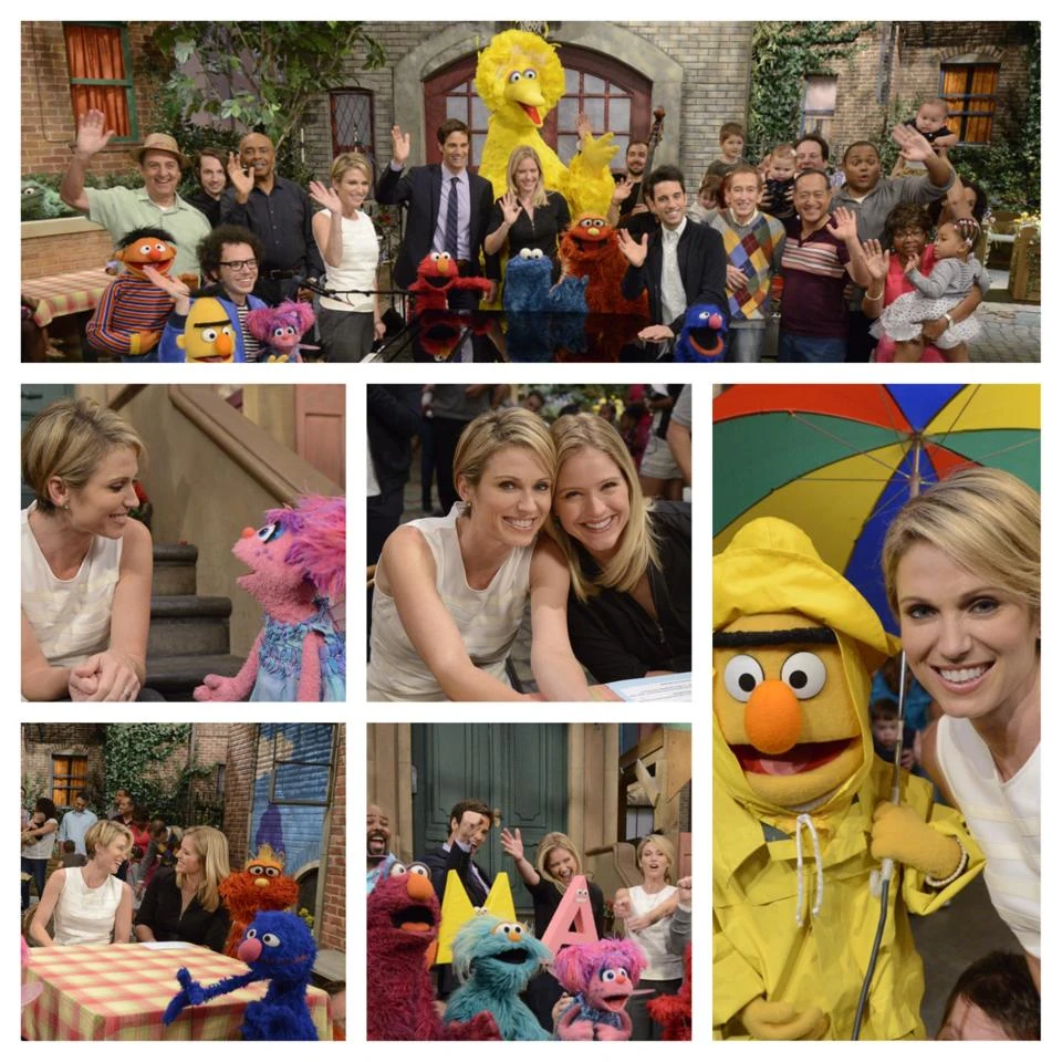 Amy Robach | Muppet Wiki | Fandom