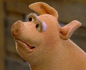 Sooey the Pig | Muppet Wiki | Fandom