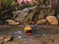 Fish | Muppet Wiki | Fandom