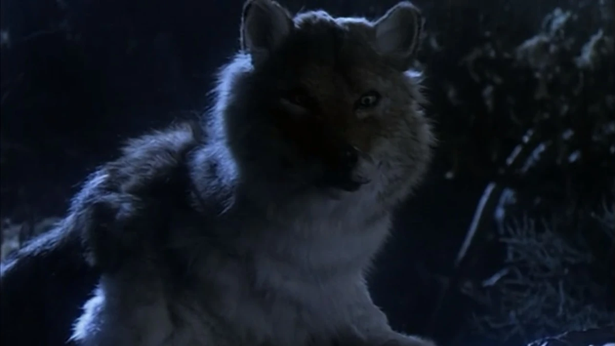 Wolf (The StoryTeller) | Muppet Wiki | Fandom