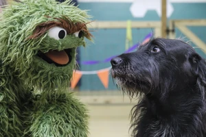 Oscar's Handmade Halloween | Muppet Wiki | Fandom