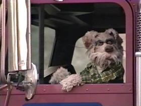 Drivin' My Truck | Muppet Wiki | Fandom
