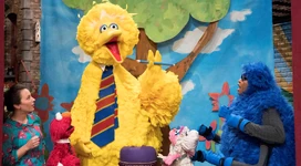 Episode 4908 | Muppet Wiki | Fandom