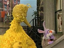 Episode 2458 | Muppet Wiki | Fandom