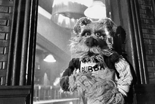 Dog City (special) | Muppet Wiki | Fandom