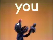 Grover: You | Muppet Wiki | Fandom